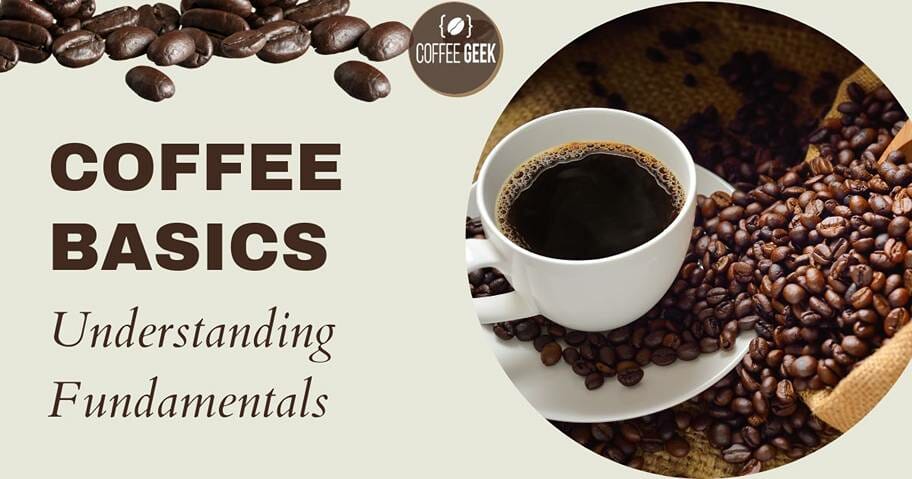Coffee Basics - Understanding Fundamentals | Coffee Geek