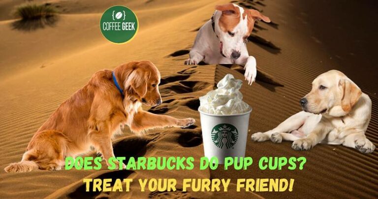 Does Starbucks Do Pup Cups? Delicious Treat For Your Furry Friend!