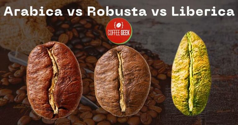Arabica vs Robusta vs Liberica: Exciting Analysis of Coffee Varieties
